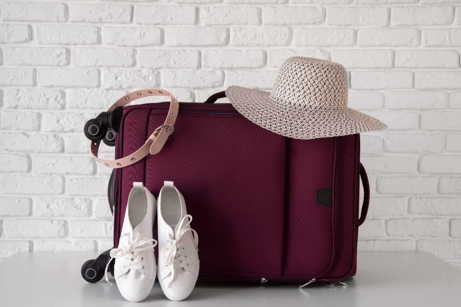 What Are the Different Types of Luggage Bags and Their Uses? – SMART ...